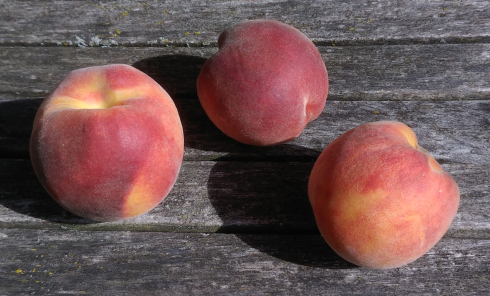 Peach Varieties